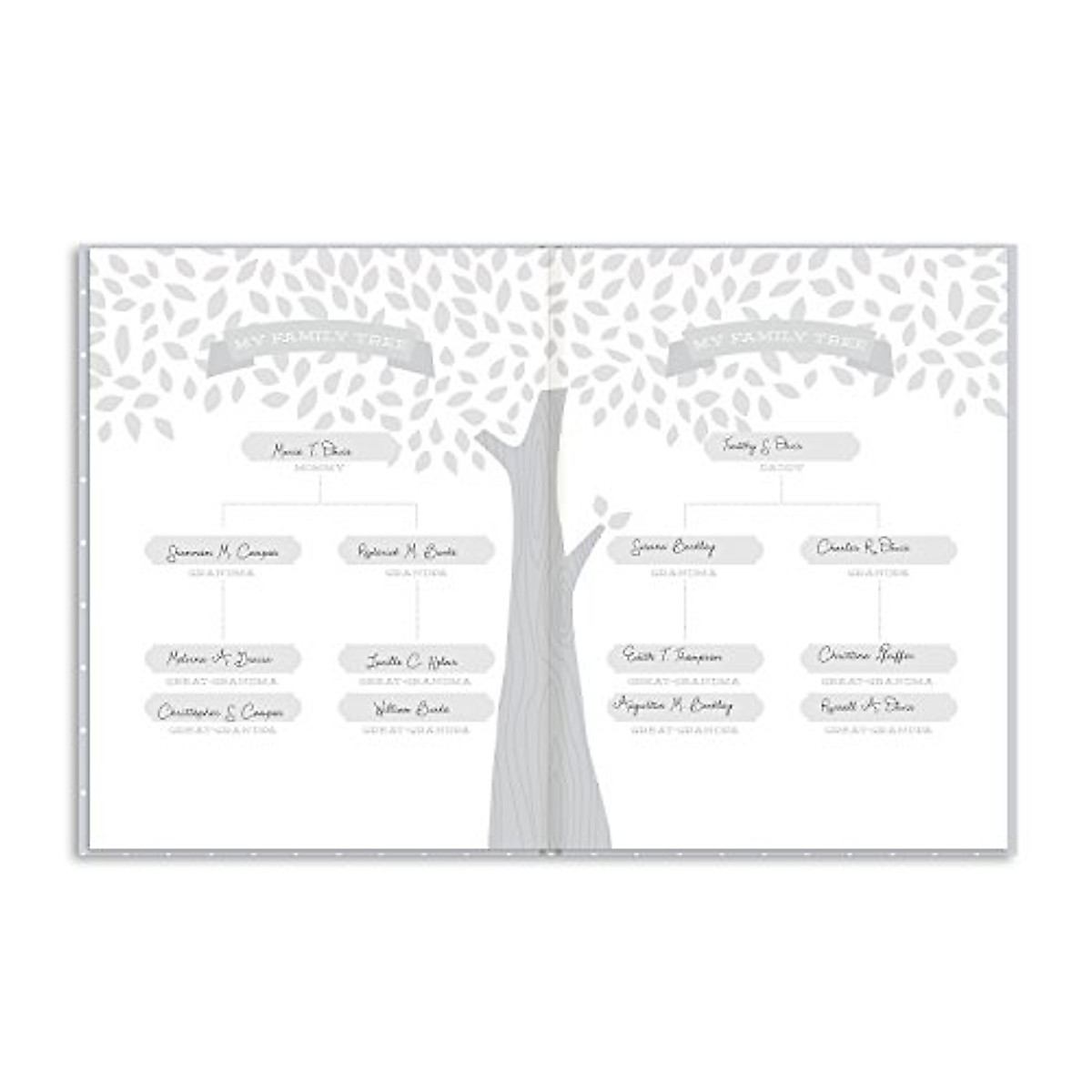 Little Blossoms Baby Keepsake Book, Baby Photo Album, Baby Memory Book, Gender-Neutral Gray Polka Dot