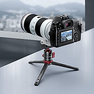 SmallRig Tripod for iPhone Desktop Mini Tripod - Aluminum Alloy 20 inches/ 50 cm with 360 Degree Ball Head, 1/4 inch Quick Shoe Plate for Vlogging DSLR Camera Video, Load up to 11 pounds-3033