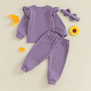Newborn Baby Girl Clothes Daisy Outfit Long Sleeve Sweashirt Tees Tops Pants Infant Toddler Girl Fall Winter Clothes (Solid-Purple, 12-18 Months)