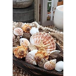 ANDALUCA Seashell Driftwood Home Fragrance Potpourri Vase & Bowl Filler Decor (Coral Beach)