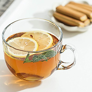 Aoderun Large Glass Coffee Mugs 15oz Ins Style Glass Cups With Lids Spoon, for Cappuccino, Coffee Latte Cereal Ice Cream Mike Dishwasher and Microwave Safe (Premium Tempered Glass)