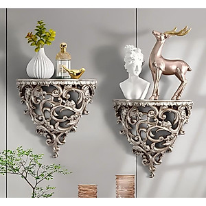 ZLXHDL Floating Shelves for Wall, European Hollow Style Wall Hanging Shelves, Resin Shelf Wall Decoration for Plants Goods Potted Plants Statues 1Pcs