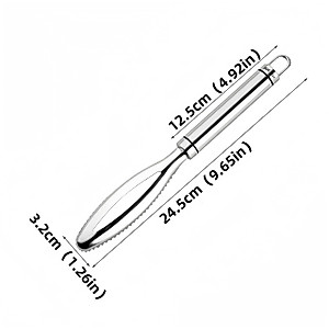 Fish Scale Remover,304 Stainless Steel Fish Scaler Easy Use Fish Descaler Tool,Fish Scaler Remover Lung Remover for Family Kitchen,Easy to Clean Kitchen Tool(9.65 * 1.26in)-SATONBEYI