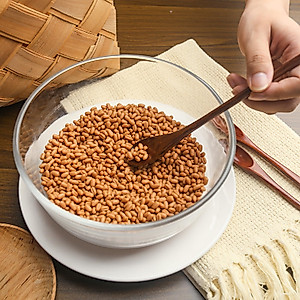 HANSGO 9PCS Wooden Coffee Spoons, Long Handle Wooden Spoon Mixing Honey Spoon Handmade Wood Stirring Spoon for Team Jam Dessert Honey Kitchen Utensil