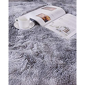 Rainlin Shaggy 3x5 Area Rug Modern Indoor Plush Fluffy Rugs, Extra Soft Comfy Carpets, Cute Cozy Area Rugs for Bedroom Living Room Girls Boys Kids, Grey