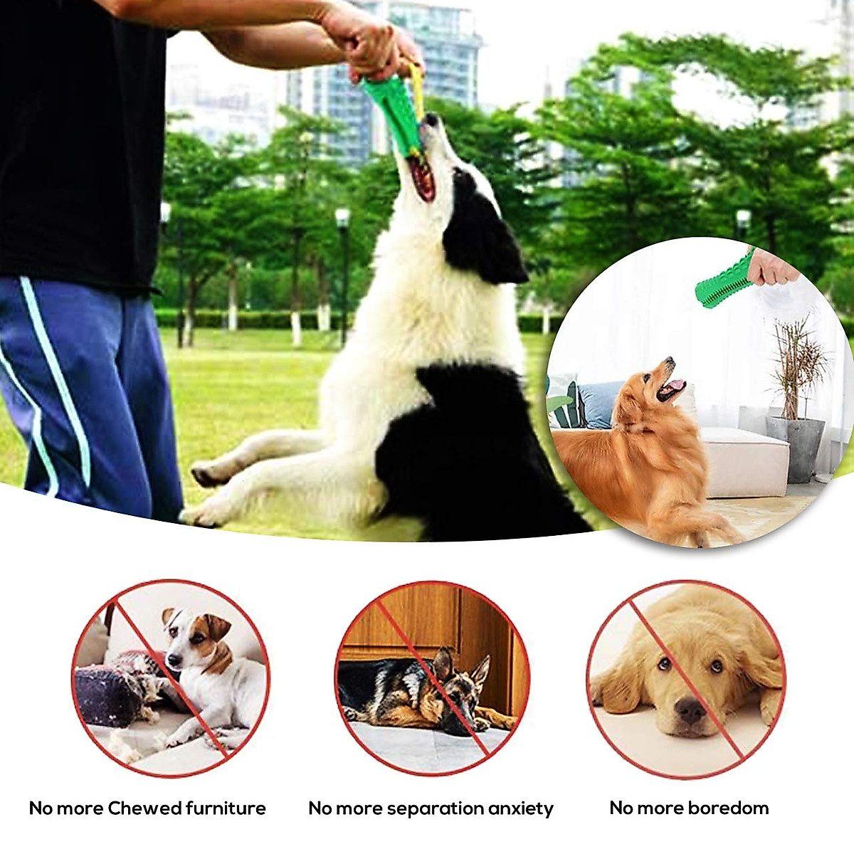 ZP-PY Dog Chew Toys for Aggressive Chewers: Alligator Dog Toys for Large/Medium/Small Breed - Indestructible Dog Toys - Toothbrush Rubber for Dog Teeth Cleaning - Squeaky Sound for Dog Attraction