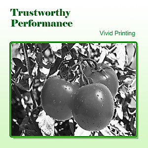 508A Black Toner Cartridge CF360A Replacement for Laser Enterprise M552, M553, Color Laser Enterprise MFP M577 Series