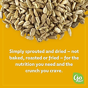 go Raw with Sea Salt Sprouted Organic Bag Keto Vegan Gluten Free Snacks Superfood, Sunflower Seeds, 14 Oz