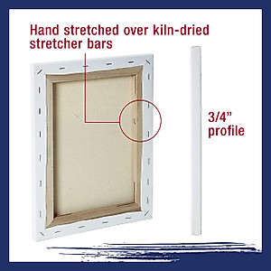 U.S. Art Supply Professional Quality Stretched Canvas, Multipack of 10 Medium Sizes, 2 Each 5x7, 8x10, 11x14, 12x16, 16x20 Inches - 12-Ounce Primed, 3/4", 100% Cotton - Painting, Acrylic Pouring, Oil