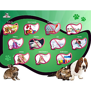 Cat & Dog Ear Cleaner Solution - Itch Relief for Dogs and Cats - Clear, No Mess Formula, Pet Ear Cleaner with Aloe Vera & Eucalyptus (1 btl)