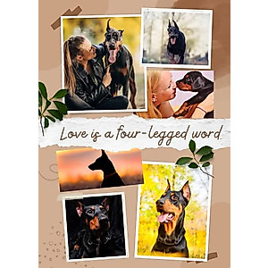 InnoBeta Doberman Pinscher Gifts, Doberman Blanket Throws for Dobie Mom Dad, Gifts for Doberman Pinscher Lovers, 50 x 65 inches, Perfect for Birthday Christmas Thanksgiving