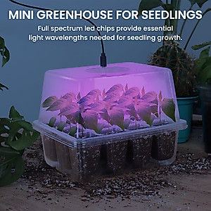 Bonviee 5 Packs Seed Starter Tray with Grow Light, Elevated Seedling Starter Trays Kits with Adjustable Humidity Domes and Clear Cell Tray, 8 Full Spectrum led lamp Beads for Plants Indoor-Clear