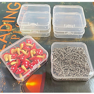 Pcxino 40 Pack 6.5 cm Small Clear Storage Box,Clear Plastic Beads Storage Containers Box with Hinged Lid for Small Items and Craft Projects