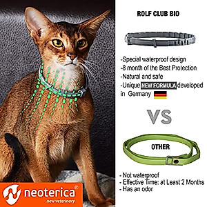 Natural Flea & Tick Collar for Cats - 6 Months Control of Best Prevention & Safe Treatment - Anti Fleas and Ticks Essential Oil Repellent (1 Pack)