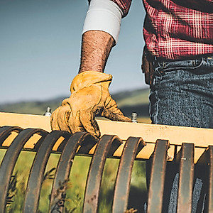 Wells Lamont Leather Work Gloves for Men, Reinforced Cowhide with Palm Patch, Saddletan, Medium (1129M)