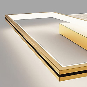 MayNuo Simple Style Led 3 Color Temperatures Dimmable Flush Mount Ceiling Light,Gold Square Lighting Fixtures,Contemporary Art Modeling Ceiling Lamp,for Bar, Living Room Ceiling Light/50Cm