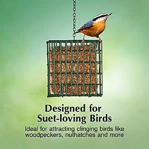 C&S Wild Bird EZ Fill Suet Basket, Green