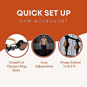 Rapid Ring Sports Gymnastic Rings with Adjustable Straps