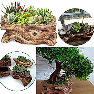 WellieSTR 1pc Wood Stump Log Concrete Planter/Succulent Pot/Plant Pot, Imitating Wood Flower Cement Planters for Succulents Flowerpots Bonsai Decor,16x10x6cm