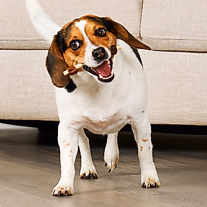 Treatly IncrediChews Kabobs w/Duck & Chicken Meat Wrap Dog Chew Treats - 6 Count/1 Pack