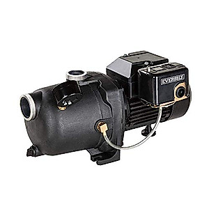 Everbilt 3/4 HP Shallow Well Jet Pump by Everbilt