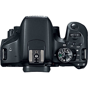 Canon EOS Rebel 800D / T7i DSLR Camera (Body Only) + 64GB Memory Card + Case + Corel Photo Software + 2 x LPE17 Battery + Card Reader + LED Light + Flex Tripod + More (Renewed)