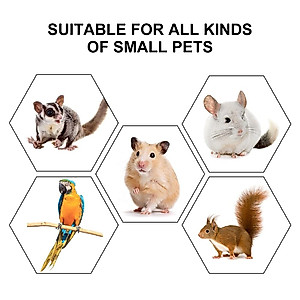 MiOYOOW Pet Climbing Rope Net, Rat Bird Climbing Rope Net Hamster Activity Toy with 4 Metal Hooks for Hamster Mouse Ferret Gerbil Chinchilla Play
