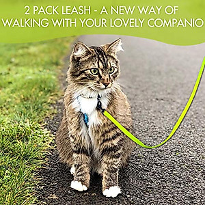 DOYOO 2 Pack Puppy Dog Leash Cat Leash, Strong and Durable Leash with Easy to Use Collar Hook - Dog Leashes for Cat with Collapsible Pet Bowl Great for Small and Medium Dog (Set 3-Black+Green)