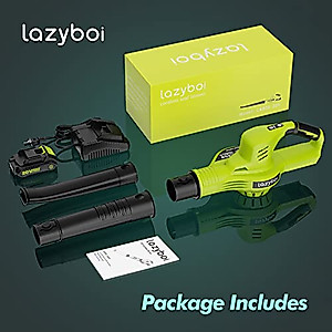 Cordless Leaf Blower, 150MPH Electric Mini Leaf Blower with Battery and Charger, 2 Speed Mode, Battery Powered Leaf Blowers for Lawn Care, Patio, Blowing Leaves and Snow