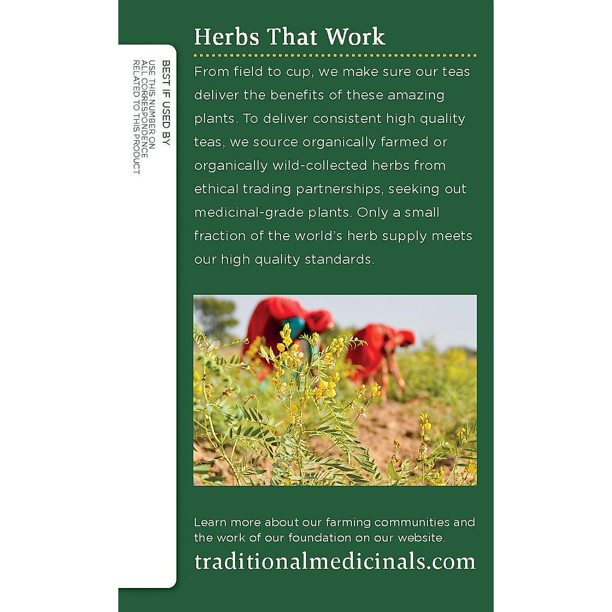 Traditional Medicinals Organic Roasted Dandelion Root Herbal Tea, Supports Healthy Digestion, (Pack of 1) - 16 Tea Bags