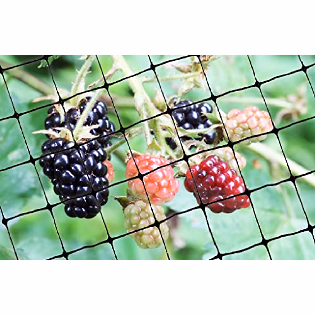 Bird-X Standard Bird Netting, Ideal for Gardens and Lightweight Applications, UV-Stabilized Mesh Netting with 3/4" Hole Opening, Easy to Install, 100' x 14'