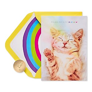 Papyrus Cat Birthday Card (Happy Birthday)