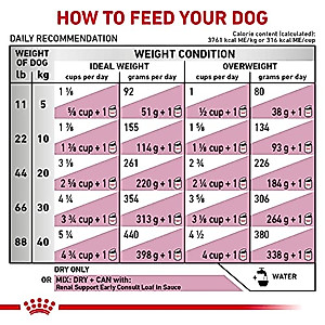 Royal Canin Veterinary Diet Canine Renal Support Early Consult Dry Dog Food, 5.5 lbs.