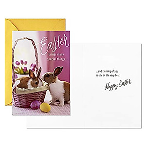 Hallmark Easter Cards Assortment, Easter Bunnies (8 Cards with Envelopes)