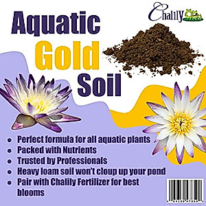 Chalily Aquatic Gold Soil Perfect for Water Lilies, Lotus, and All Aquatic Plants Packed with Nutrients 4 quarts