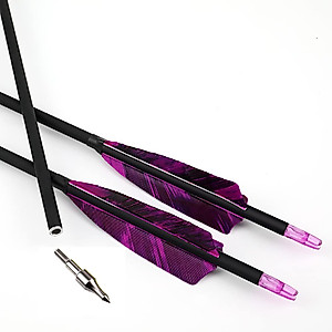 PG1ARCHERY 31-Inch Carbon Arrows Target Practice Hunting Arrow with 4" Shield Fletching spine 500 Arrows for Recurve Bow LongBow Compound Bow Pruple (Pack of 6)