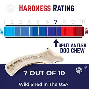Devil Dog Pet Co. Split Elk Antlers for Dogs, 1 Pack, Medium 5”+, Grade A Long Lasting Dog Bones for Aggressive Chewers, Premium USA Naturally Shed Antler Dog Chew – No Odor, Dog Antler Chews