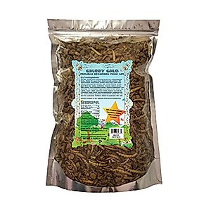 Premium Hedgehog Food w/ Dried Mealworms Superworms Crickets Silkworm Pupae Locusts (2.5 LBS)