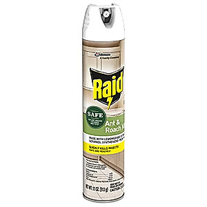 Raid Ant and Roach Killer, Aerosol Spray with Essential Oils 11 Ounce (Pack of 1)