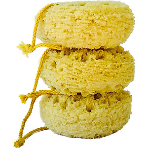 Michelle's Melting Pot Exfoliating Foam Sea Sponge, Natural Feel, Shower Loofah, Bath Sponge, Rich Lather (Set of 3)