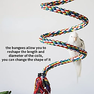 Bird Spiral Rope Perch, Cotton Parrot Swing Climbing Standing Toys, Bird Cage Toy for Lovebirds Budgies Tiels Green Cheek Conures Senegals Quaker Parakeets (S)