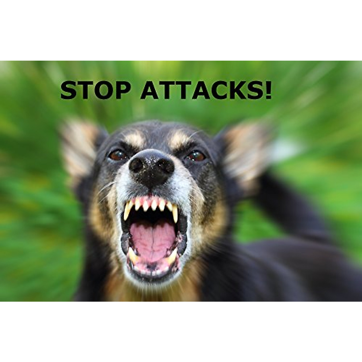 SAFETY-SPORT DOG HORN XL