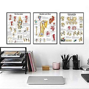 Skin Science Anatomy Posters for Walls Medical Nursing Students Educational Anatomical Human Organs Skeletal Muscles Poster Chart Medicine Disease Map for Doctor Enthusiasts Kid's Enlightenment Education W
