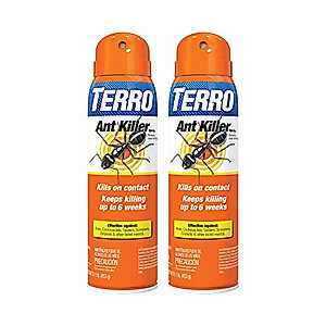 TERRO T401SR Indoor and Outdoor Ant Killer Aerosol Spray - Kills Ants, Cockroaches, Crickets, Scorpions, Spiders, and Other Insects - 2 Pack 32 Total Ounces