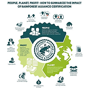 4 Dozen Red Roses Bouquet, Best Next-Day Fresh Flower for Delivery Prime, Ideal for Birthdays, Get Well Gift for Women, Anniversary, Sympathy, Congratulations, Thank You, Just because