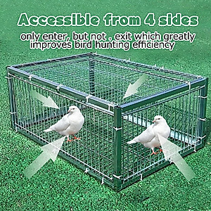 NEONMAN Pigeon Trap with Escape-Proof Design Pigeon Cage with One-Way Entry Encrypted Pigeon Automatic Pigeon Collection Chicken Cage and Bird Trap with Metal Welding Portable Easy Assembly(Black,28x1