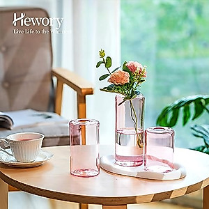 Small Glass Bud Vases for Centerpieces – Hewory 12pcs Pink Blown Single Flower Vases Bulk, Modern Mini Cylinder Vase Set for Wedding Anniversary Birthday Party Events Home Living Room Table Decor