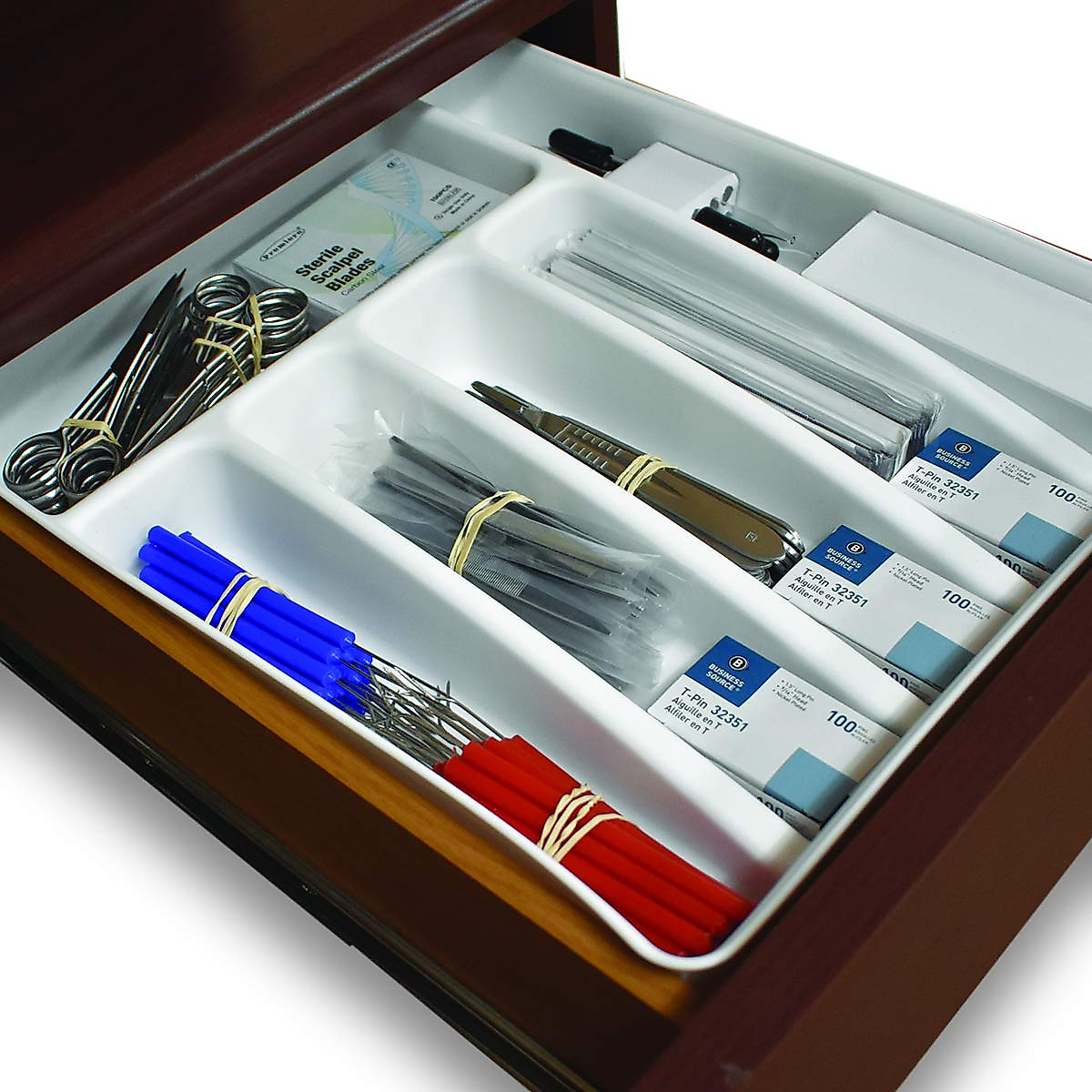 540 PCS DR Instruments DRCLS20 - Classroom Dissection Kit for 20/40 Students, Stainless Steel Instruments & Slotted Tray.