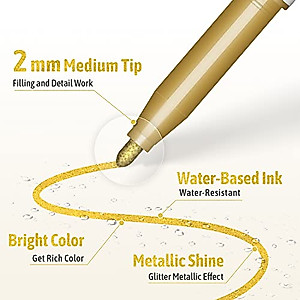 Metallic Markers Permanent Paint Pens: 12 Pack 2MM Medium Tip Metallic Pens for Black Paper, Rock, Pumpkin Painting, Scrapbooking, Egg, Mug, Glass, Fabric, Wood, Photo Album, Drawing & Art Supplies