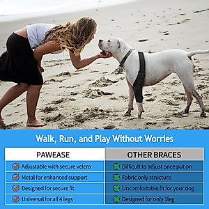 TONTONJIA Dog Knee Brace for Torn Acl Hind Leg Adjustable Dog Back Leg Support Brace, Dog Leg Brace for Hip Dysplasia, Better Recovery with Dog ACL Knee Brace (Medium)